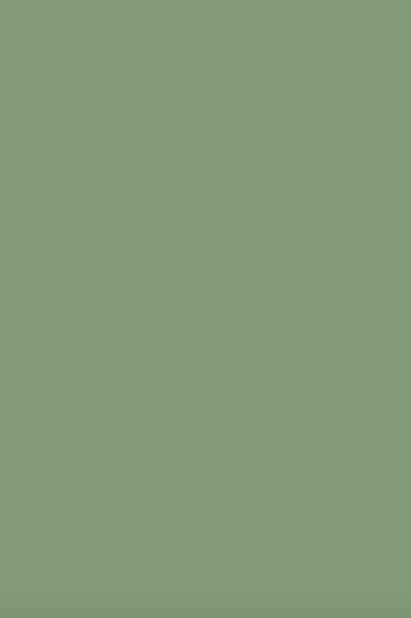 Краска Farrow & Ball цвет Breakfast Room Green 81 Estate Emulsion 5 л ...